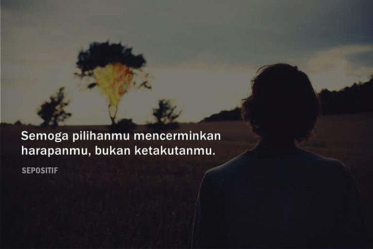 50 Kata Kata Bodoh Yang Bijak Tentang Kehidupan