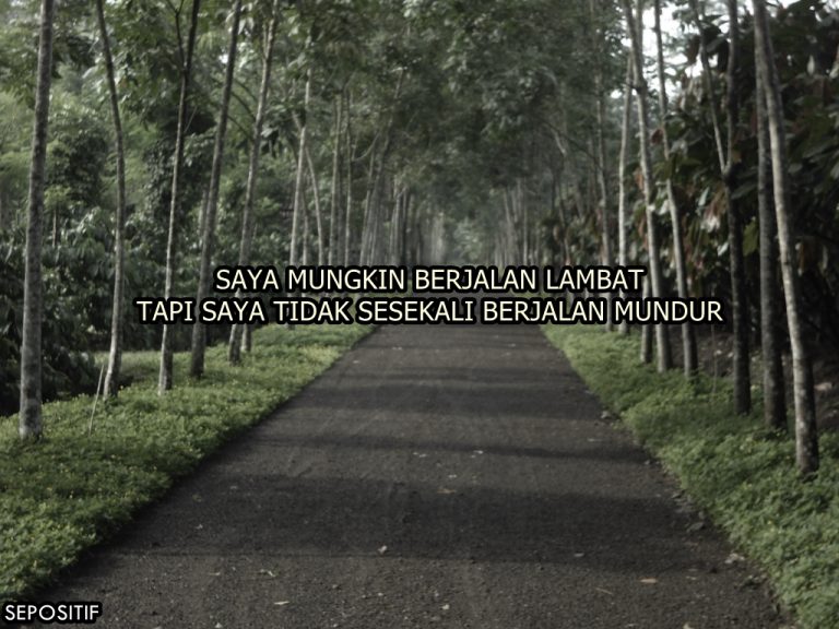 50 Kata Kata Sindiran Untuk Pembohong Besar